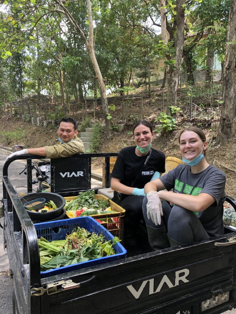 Online conservation Job Course to get your dream job