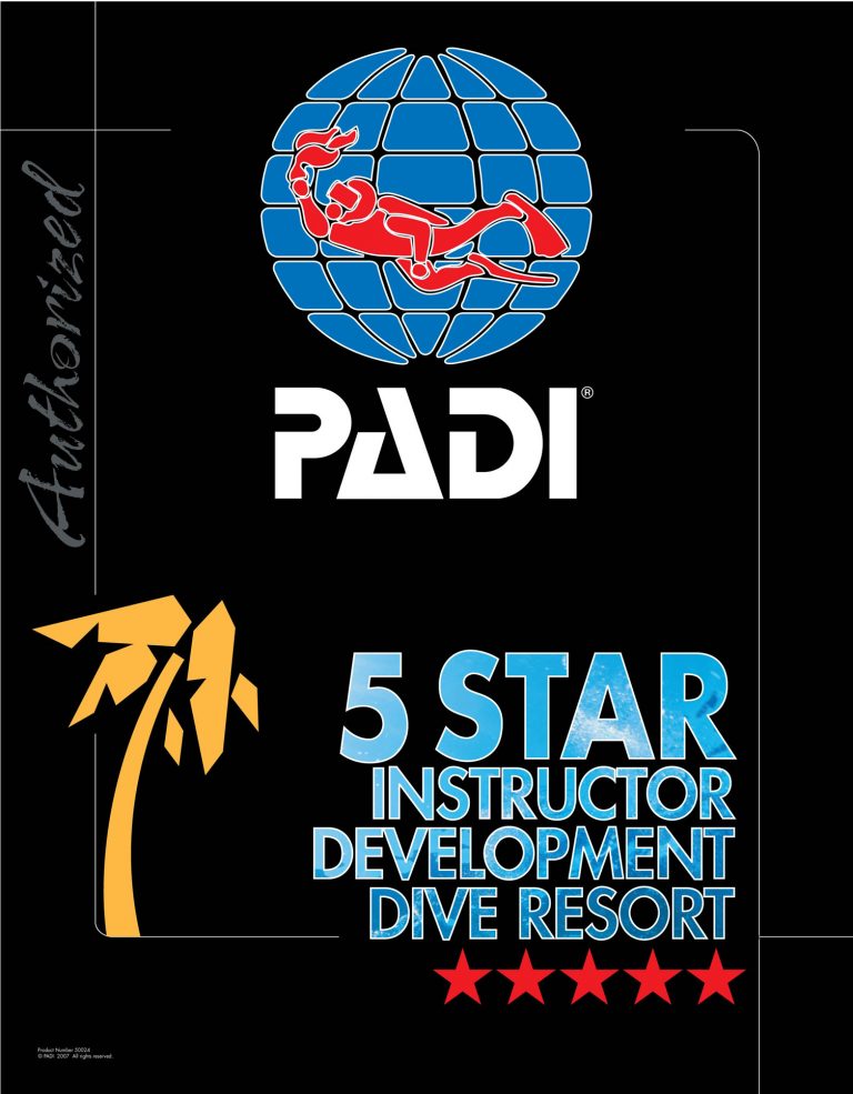 bali marine conservation volunteer