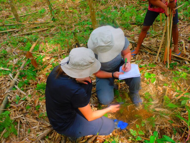 Internship vs volunteering: what is the difference