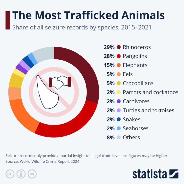 Unveiling the Hidden Crisis of Illegal Wildlife Trade